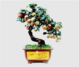 第53屆元月月刊 眷屬成長活動記錄 / 李家發老師 - 台北IMC